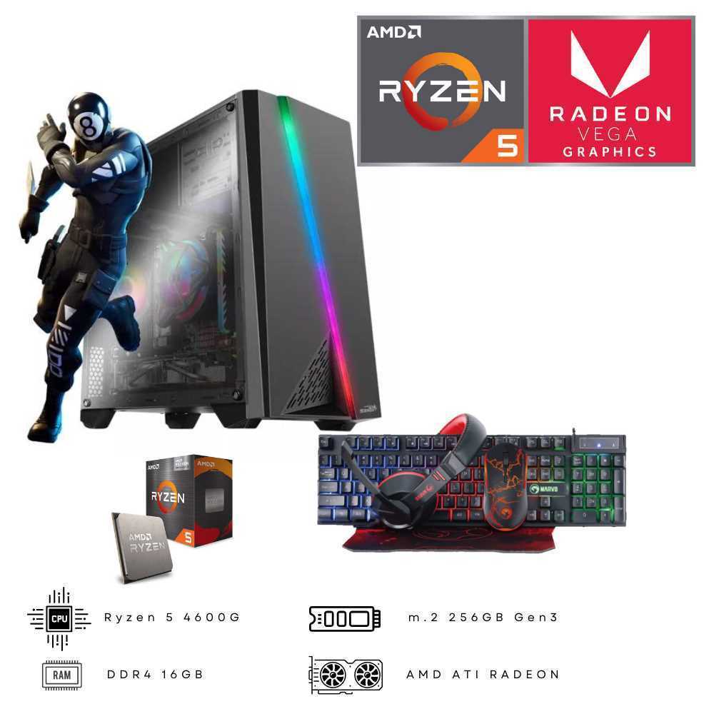 PC GAMER AMD RYZEN 5 4600G SENTEY FS10-NETAC (16GB DDR4 - M.2 256GB ...